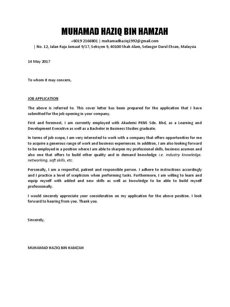 Muhamad Haziq Bin Hamzah: Networking, Soft Skills, Etc | PDF