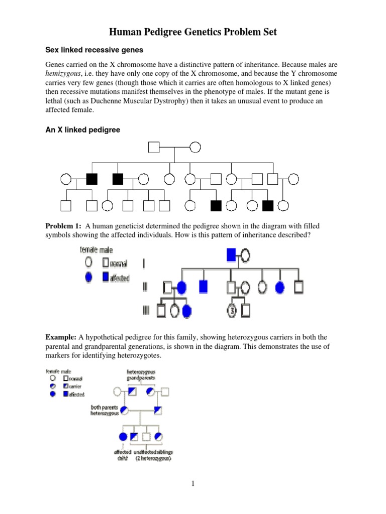 Human Pedigree Problems | PDF | Dominance (Genetics) | Genotype