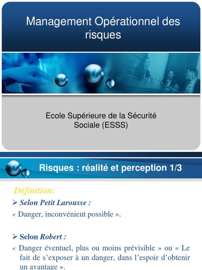 Cours Master2 Management Operationnel Des Risques | PDF | Gestion des risques | Risque