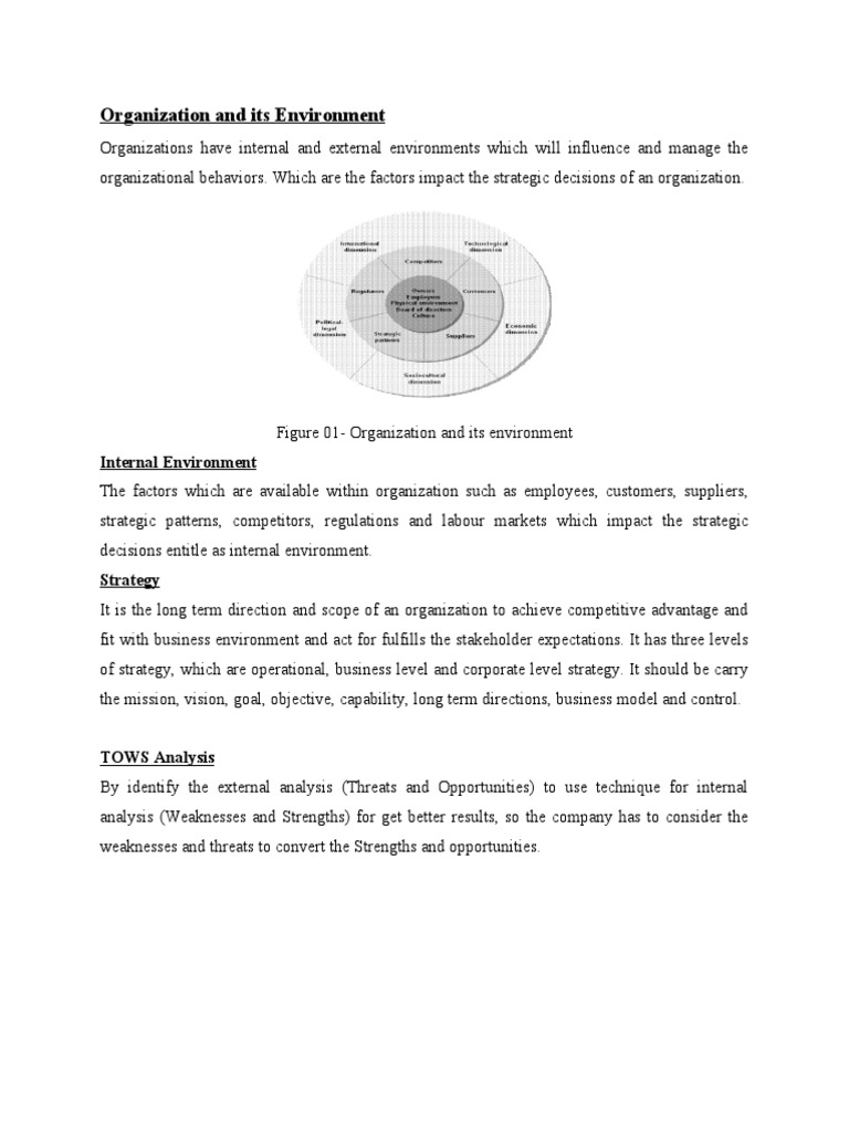 Organization and Its Environment | PDF | Strategic Management | Supply ...