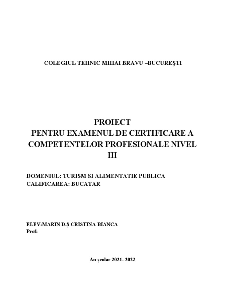 Model Proiect Bucătari | PDF