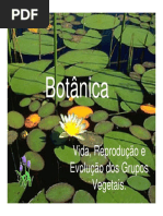 Espermatófitas | PDF | Plantas | Botânica