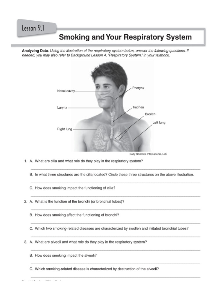 9.1 Smoking & Respiratory System | PDF
