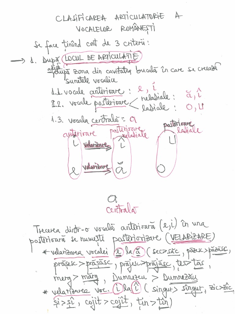 Clasificarea Articulatorie A Vocalelor Românești | PDF