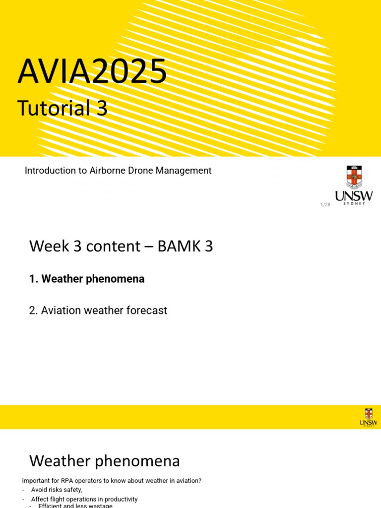 Week 3 Tutorial | PDF | Atmosphere Of Earth | Cloud