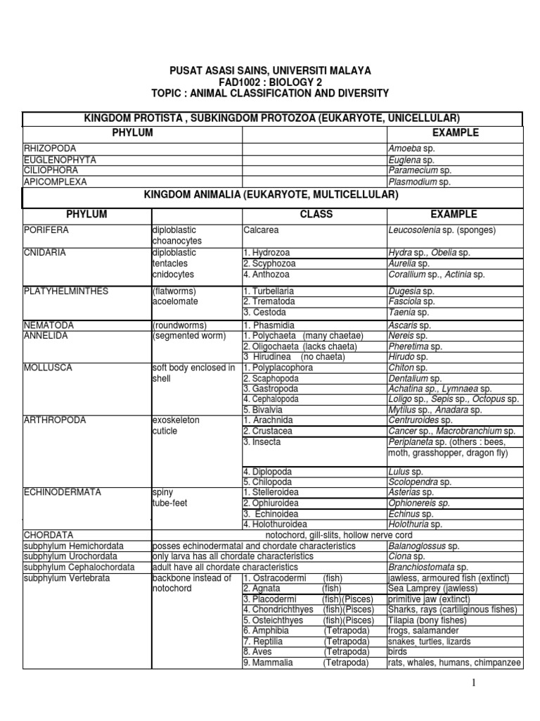 Handout - Animal Diversity | PDF | Organisms | Biology