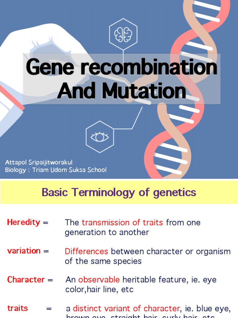 Gene Recombination & Mutation (ST) | PDF | Genetic Linkage | Allele