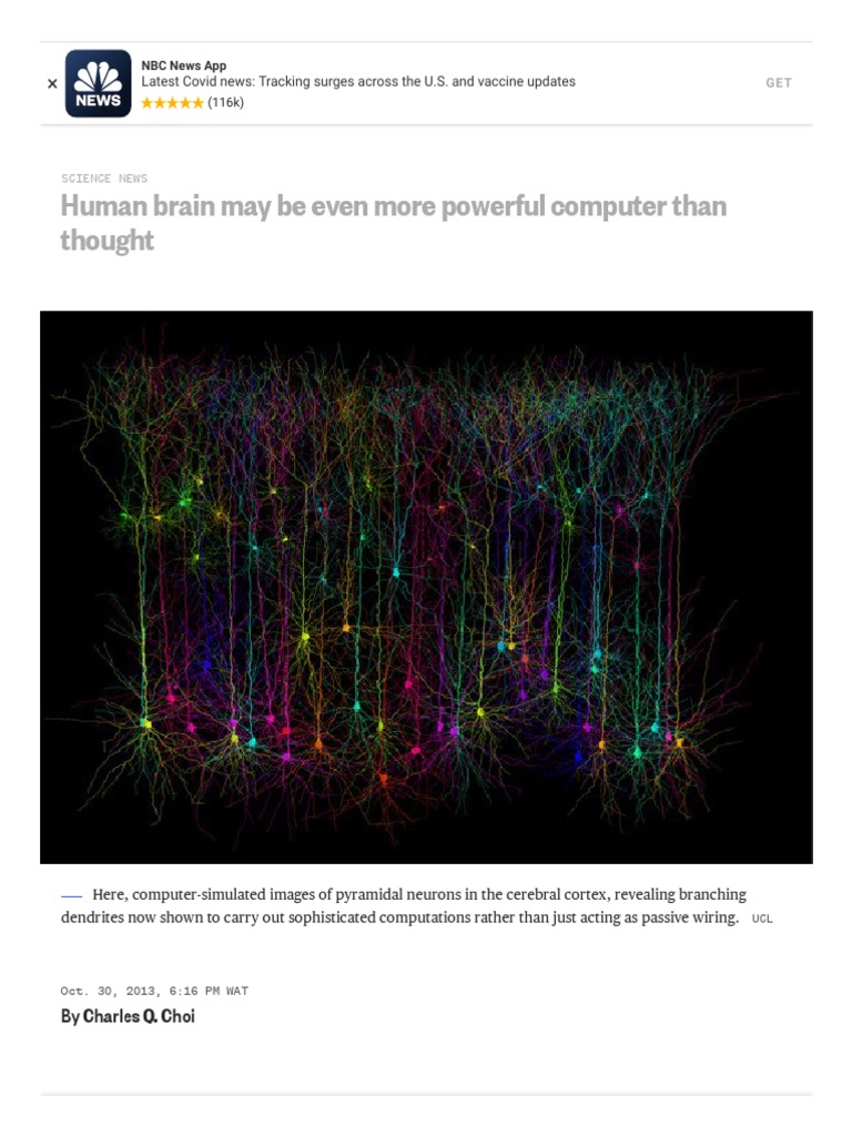 Human Brain May Be Even More Powerful Computer Than Thought | PDF ...