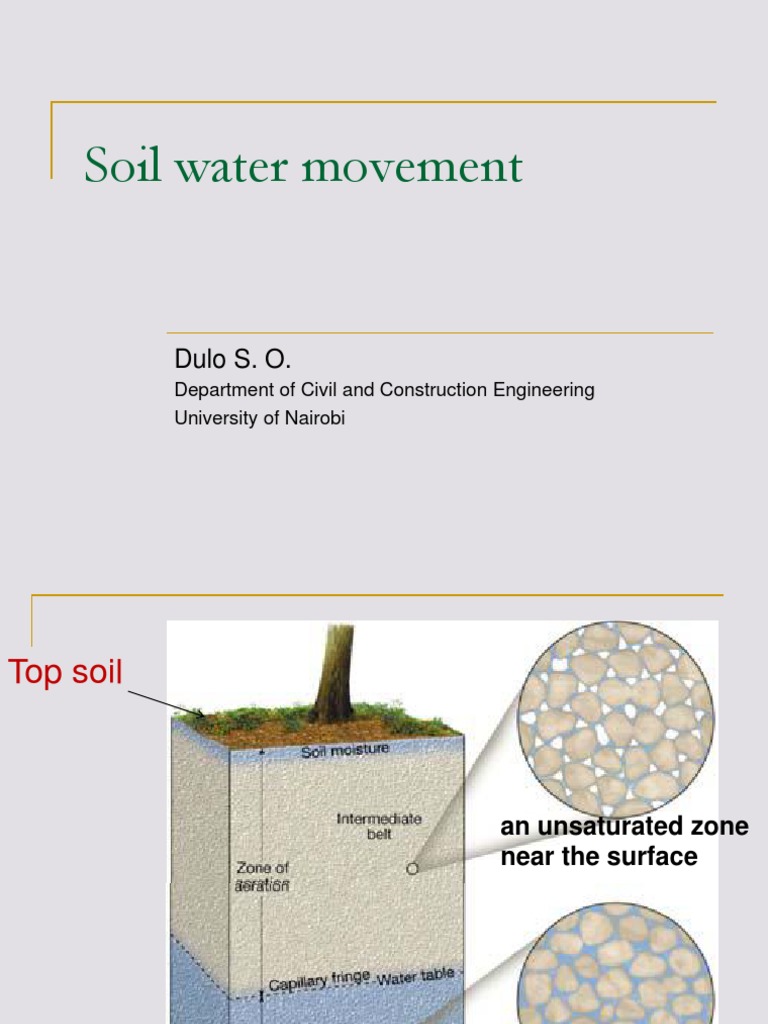 Soil Water Movement and Dynamics | PDF | Porosity | Soil