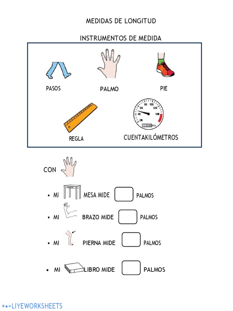 Medidas Palmos, Pies y Pasos | PDF