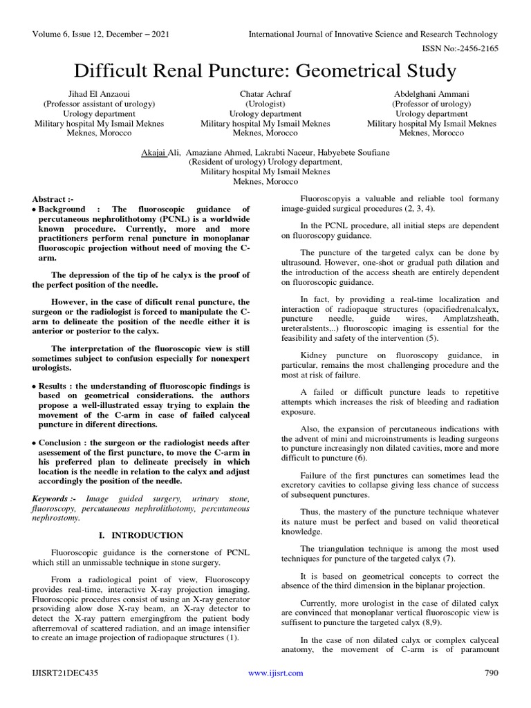 Difficult Renal Puncture Geometrical Study | PDF | X Ray | Clinical ...