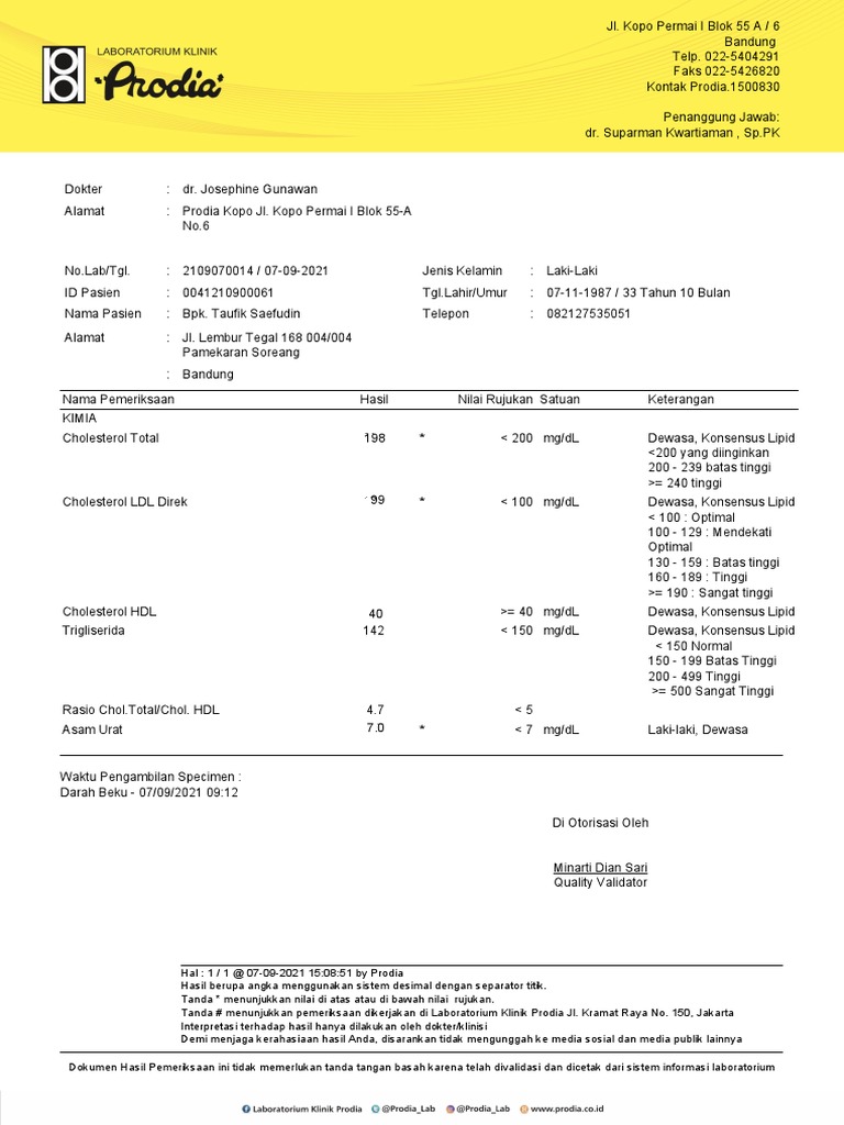 HASIL-CHOLESTEROL | PDF