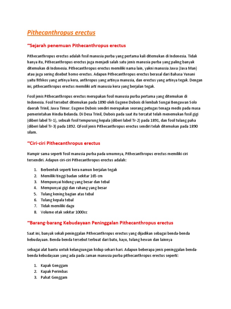 Pithecanthropus | PDF