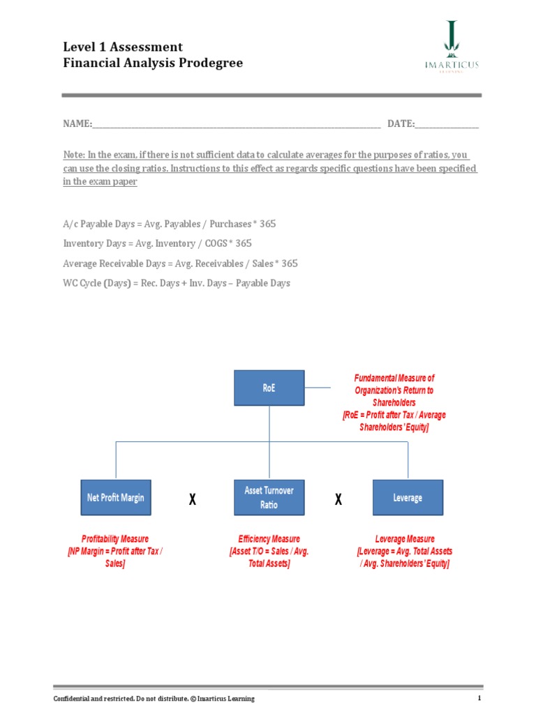 Level 1 Assessment Financial Analysis Prodegree | Download Free PDF ...
