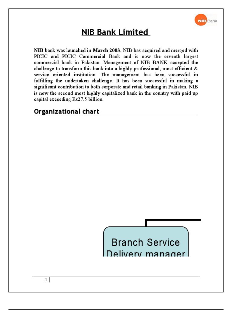 Job Analysis NIB Bank | PDF | Employment | Master Of Business ...