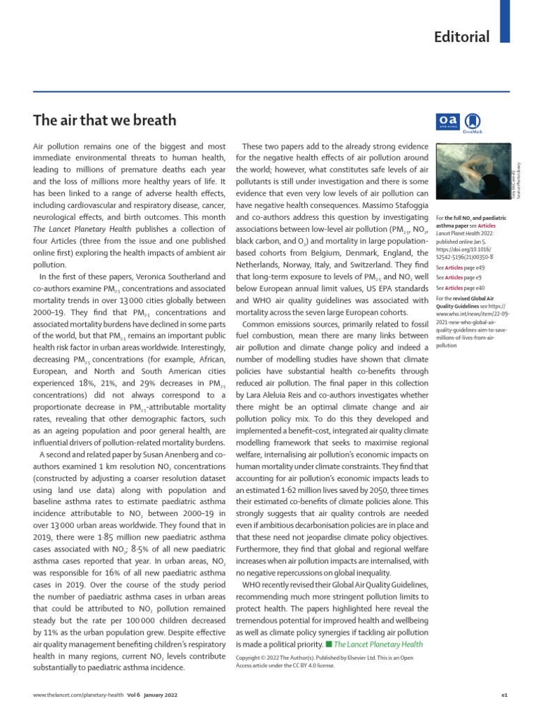 The Air That We Breath | PDF | Air Pollution | Environmental Social Science