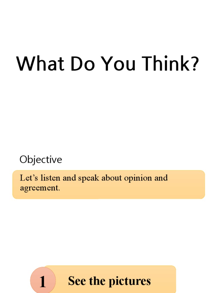 Opinion and Agreement Practice Guide | PDF