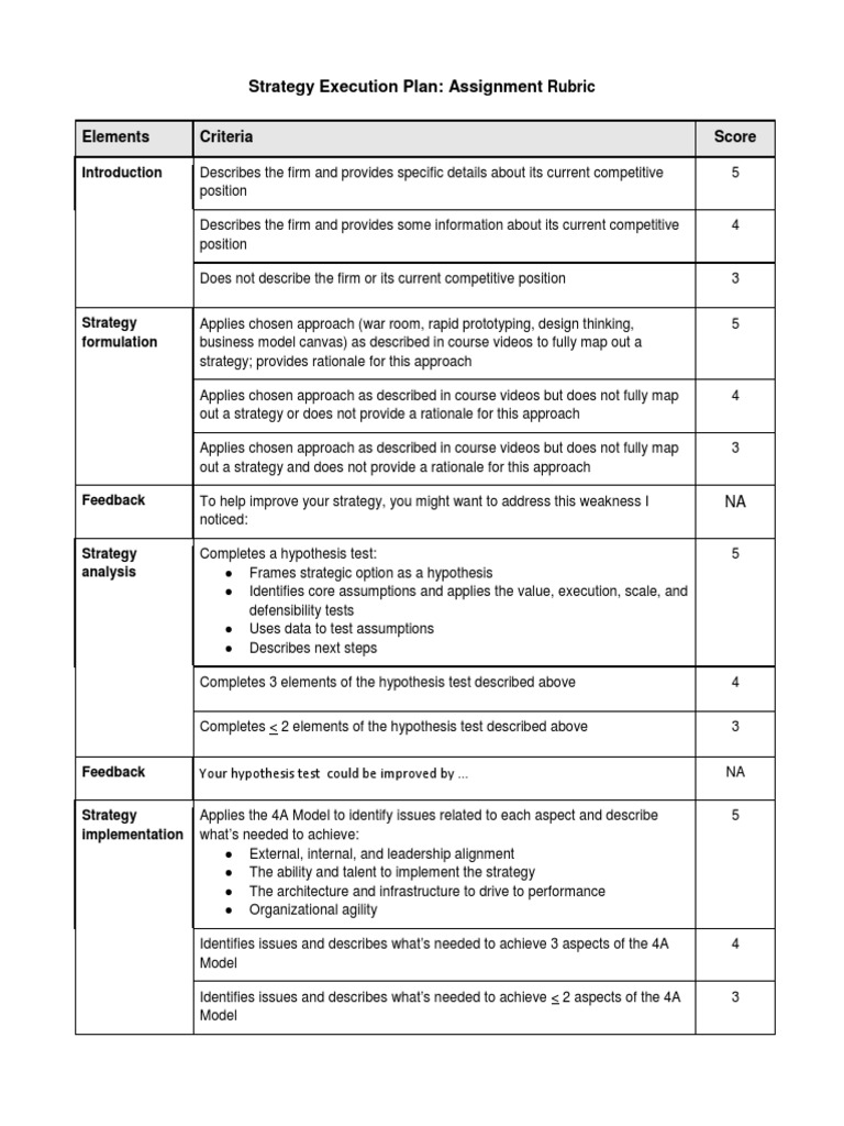 Strategy Execution Plan Assignment Guide | PDF | Strategic Management ...