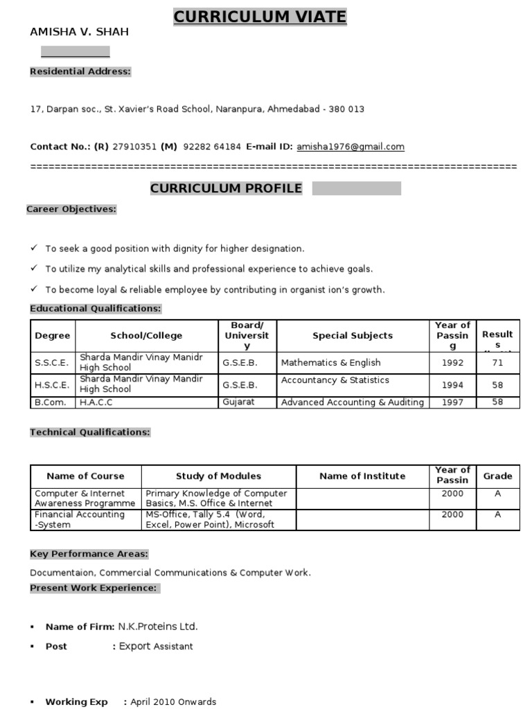 CV Amisha | PDF | Accounting | Business