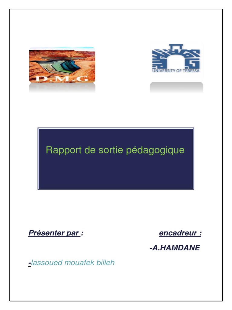 Rapport de Sortie | PDF | Ciment | Matériaux