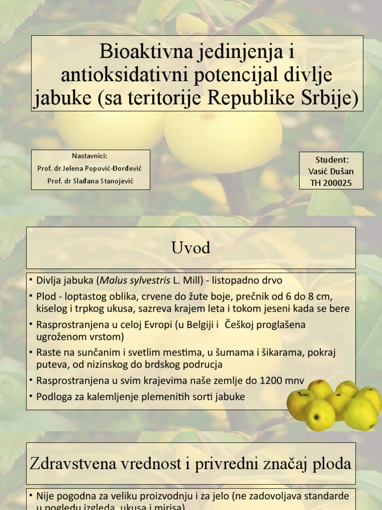 Divlja Jabuka - Prez | PDF