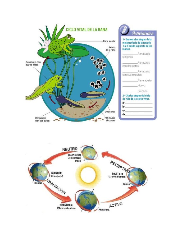 Ciclos de La Naturaleza | PDF