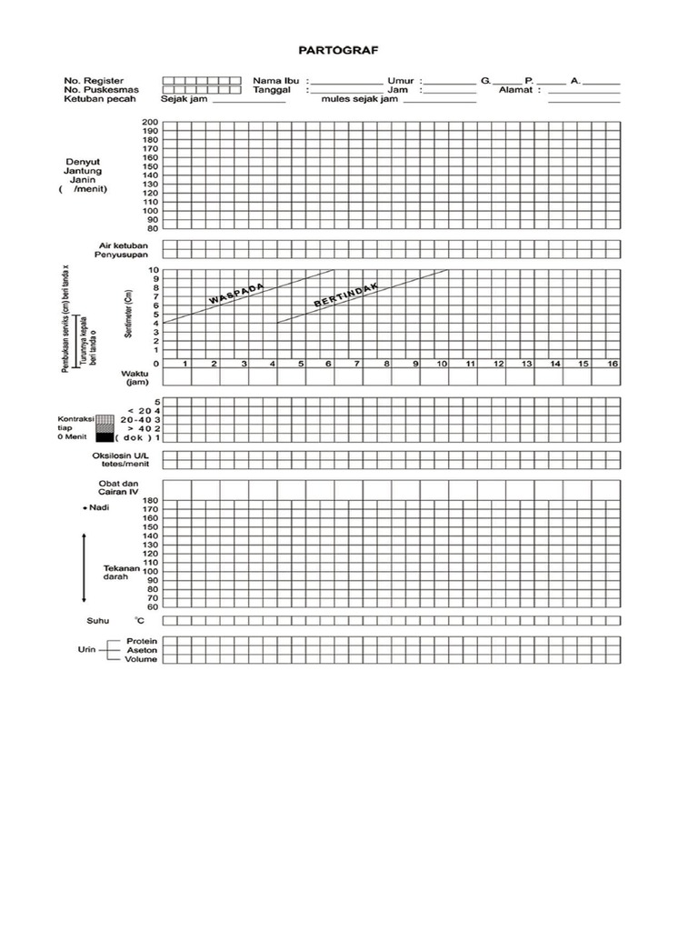 Format Partograf | PDF