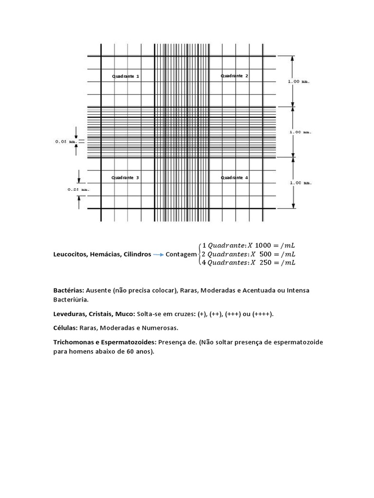 Câmara de Neubauer | PDF