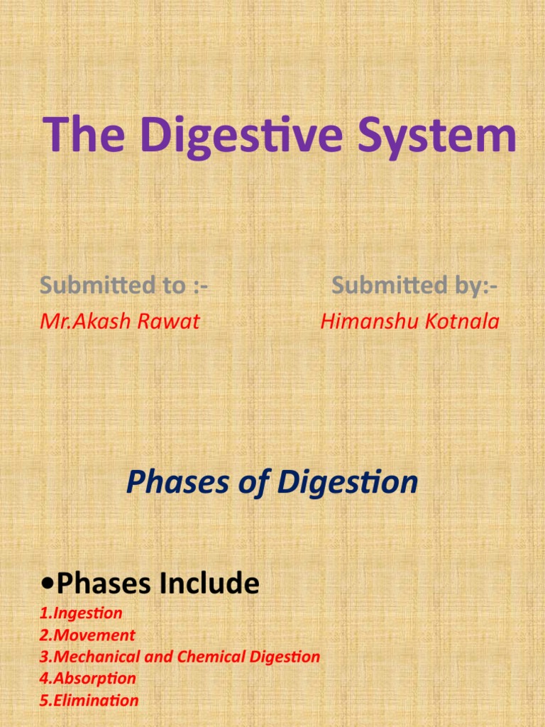 The Digestive System (PPT SEMINAR) | PDF | Human Digestive System ...