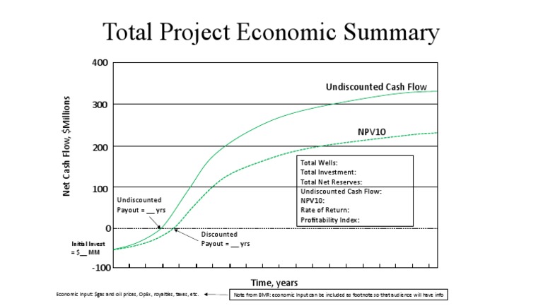 Example Project Cash Flow Graph | PDF