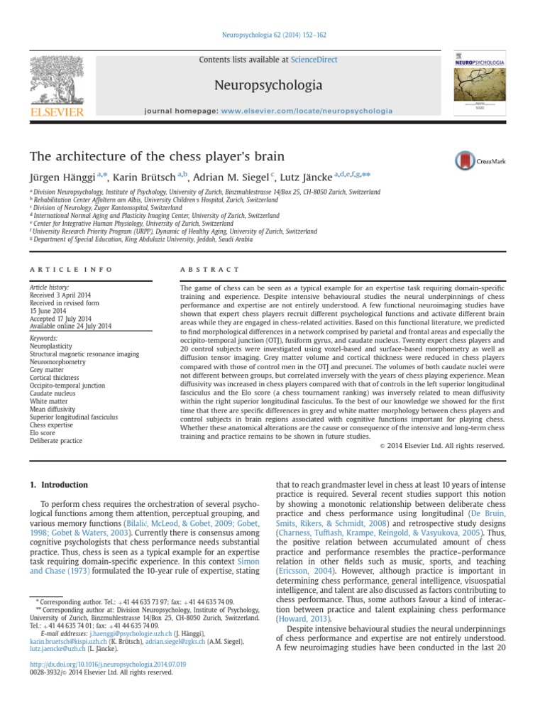 The Architecture of The Chess Player's Brain | PDF | Frontal Lobe ...