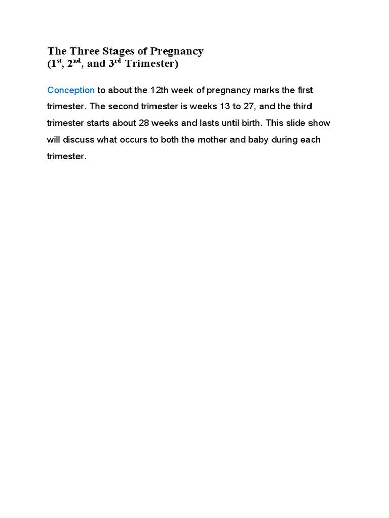 Understanding Pregnancy Trimester Stages | PDF