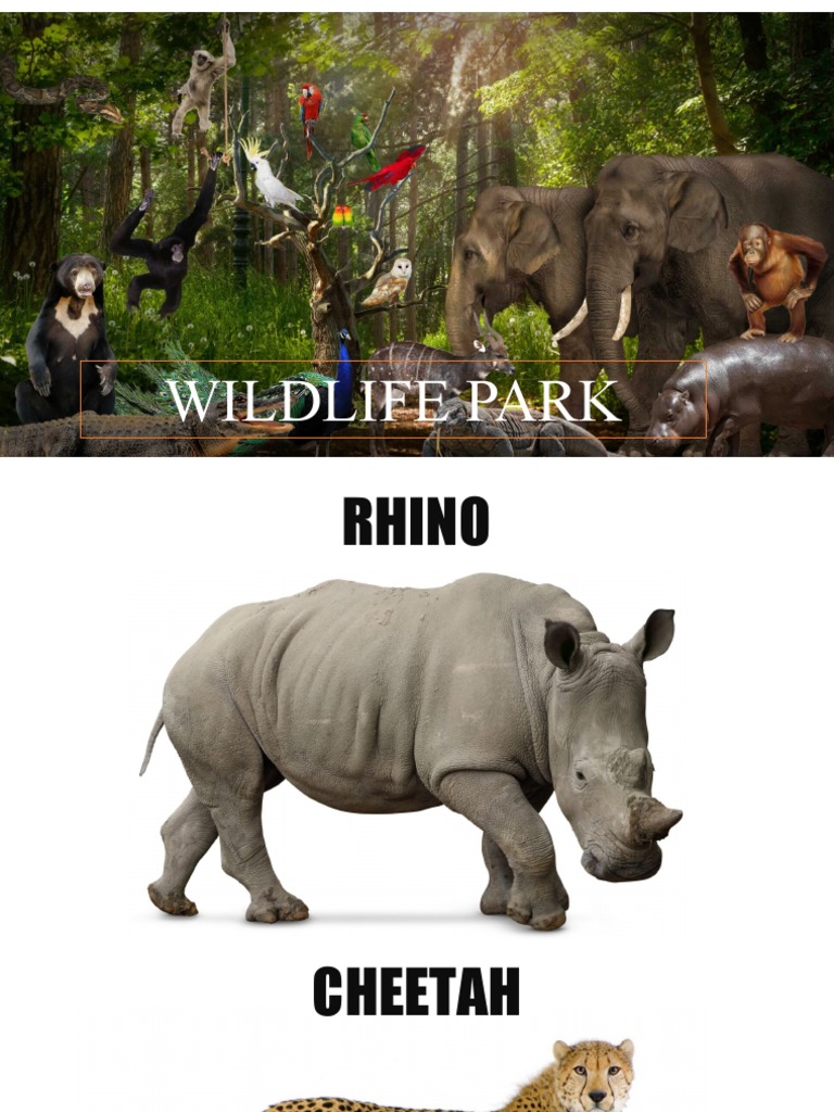 Our Discovery Island 6 Unit 2 Wild Life Park | PDF