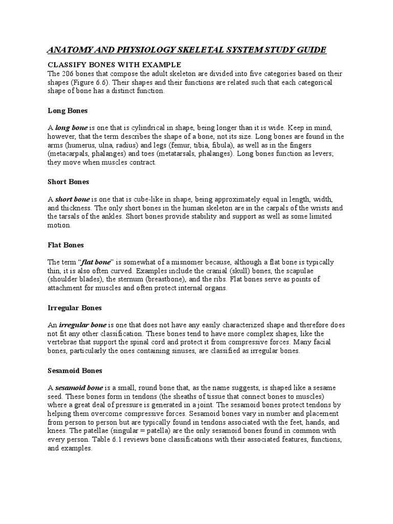 Anatomy and Physiology Skeletal System Study Guide: Classify Bones With ...