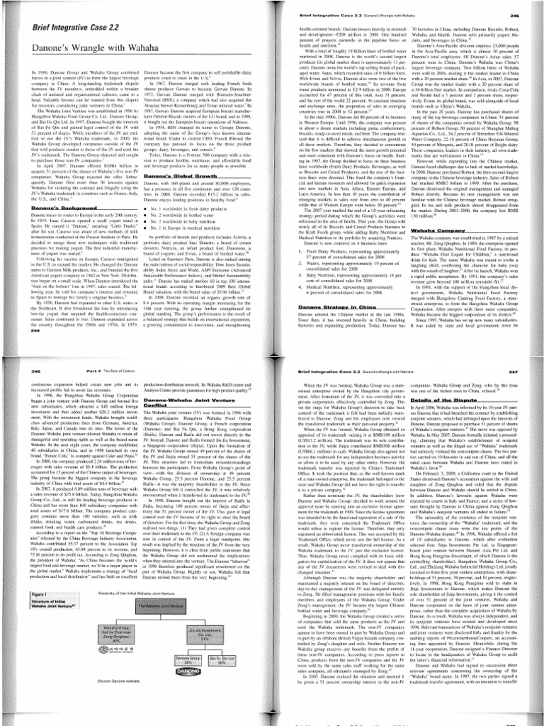 Danone Case Study | PDF | Joint Venture | Business