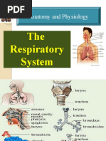 Anatomy and Function of the Respiratory System | PDF | Respiratory ...