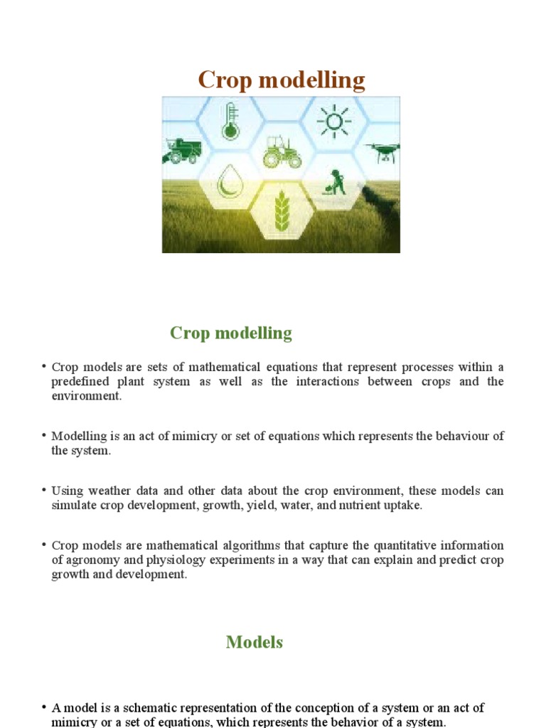 Crop Modelling | PDF | Simulation | Conceptual Model