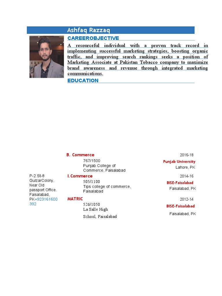Nabeel Razzaq CV Word | PDF