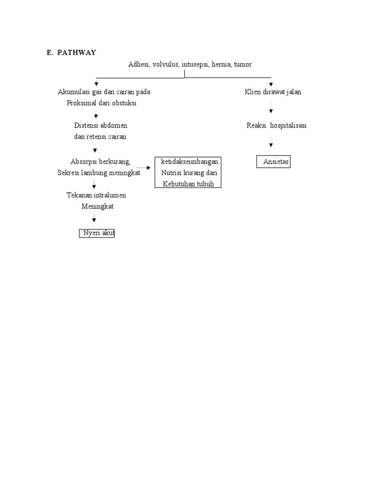 Pathway Kolik Abdomen dan Diagnosa Keperawatan | PDF