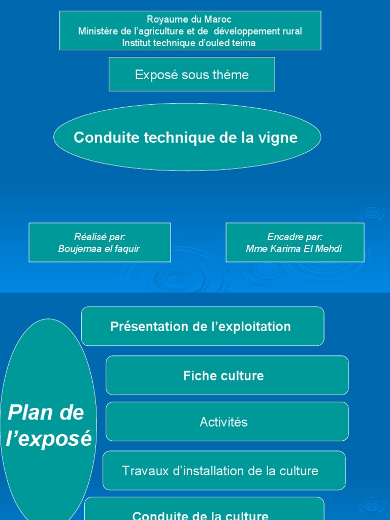 Conduite Technique de La Vigne-2 | PDF | Botanique | Agronomie