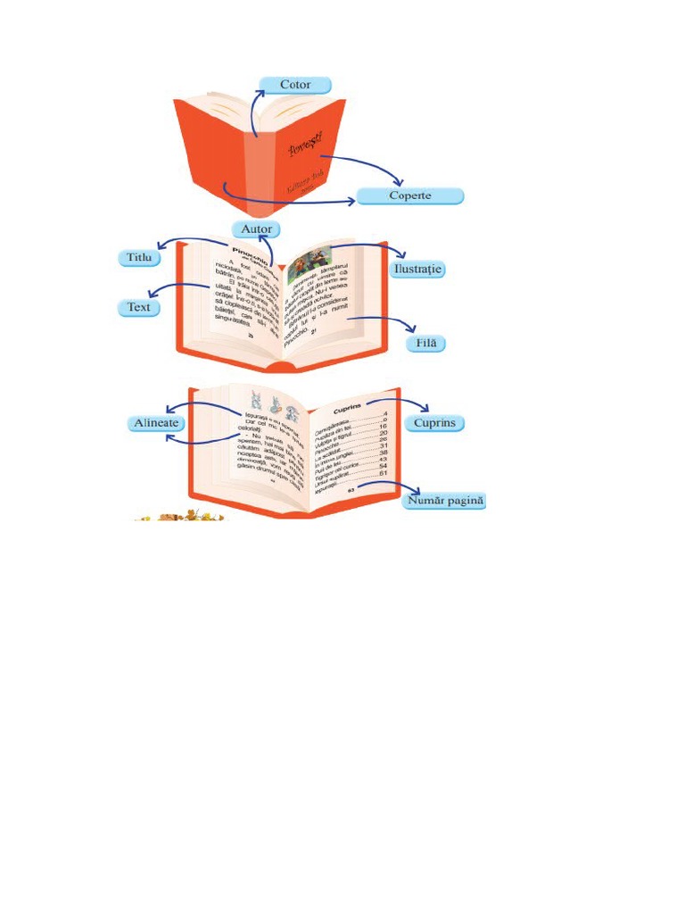 Câmp Lexical Carte | PDF