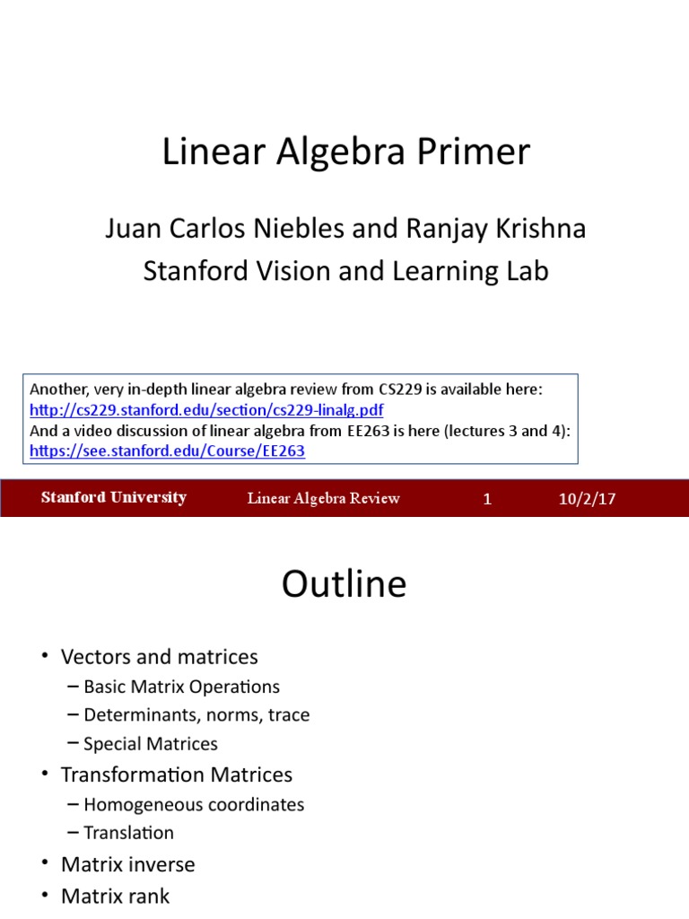 Linear Algebra Primer: Juan Carlos Niebles and Ranjay Krishna Stanford Vision and Learning Lab ...