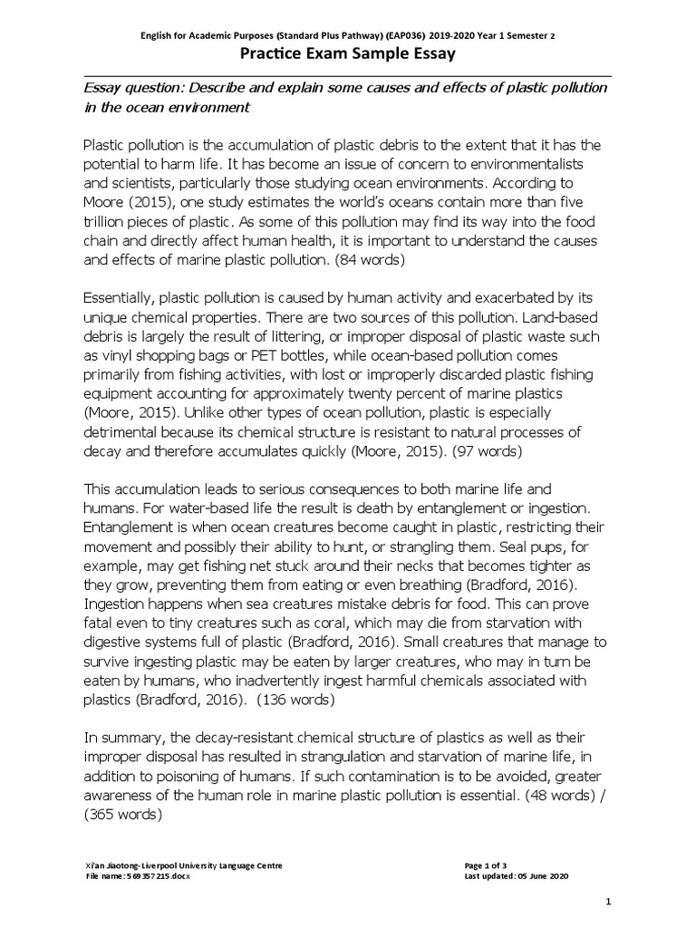 Plastic Pollution Model Essay + Cloze + KEY | PDF | Environmental ...