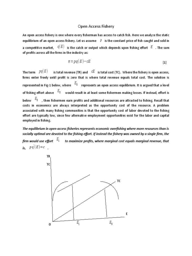 Open Access Fishery | PDF | Profit (Economics) | Economic Equilibrium
