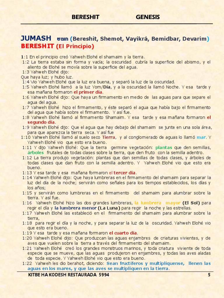 Bereshit | PDF | Noé | Arca de Noé