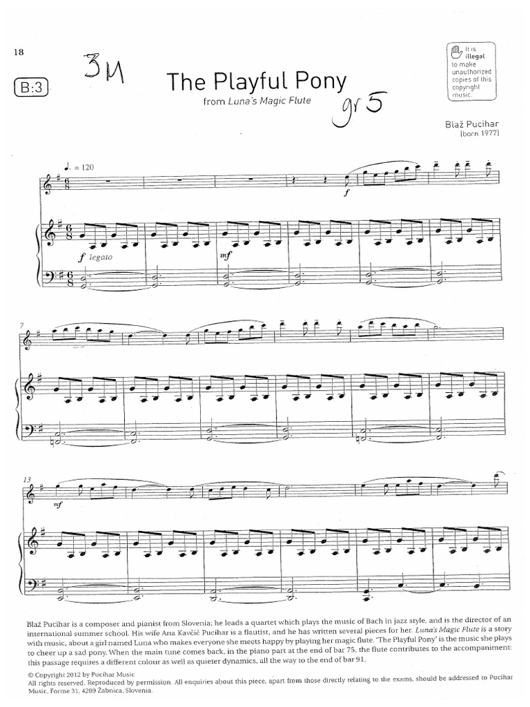 The Playful Pony | PDF