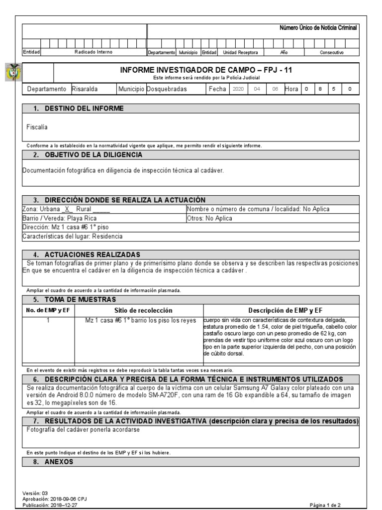 FPJ 11 Informe Investigador de Campo V 0 | PDF