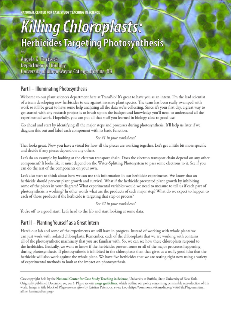 Killing Chloroplasts:: Herbicides Targeting Photosynthesis | PDF ...