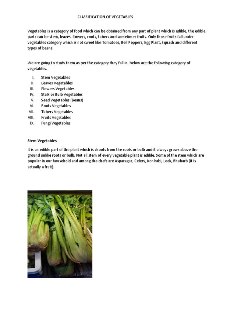 Vegetable Classification Categories | PDF | Vegetables | Fruit