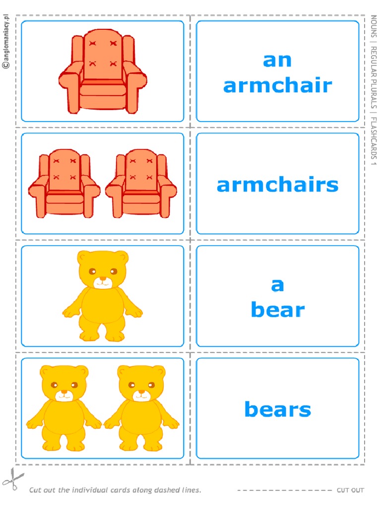 Singular Plural Flashcards | PDF